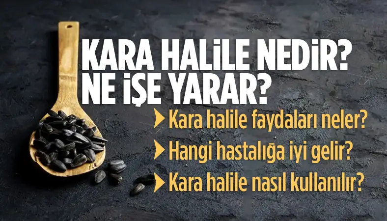 Bu bitki tam bir şifa kaynağı! Şeker hastalığından cilt sağlığına kadar ...