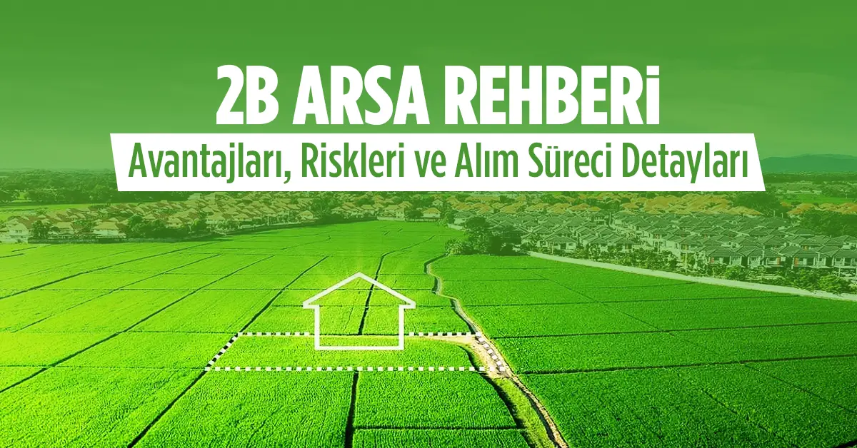 Ucuza arsa hayali gerçek mi? 2B arsa nedir, alınır mı? Orman arazisi 2B ...