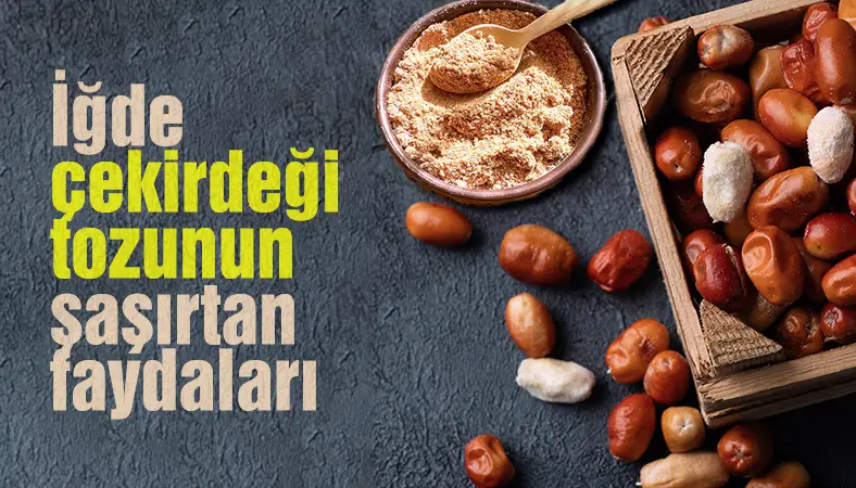 Son dönemin en çok konuşulan doğal ürünü: İğde çekirdeği tozunun ...